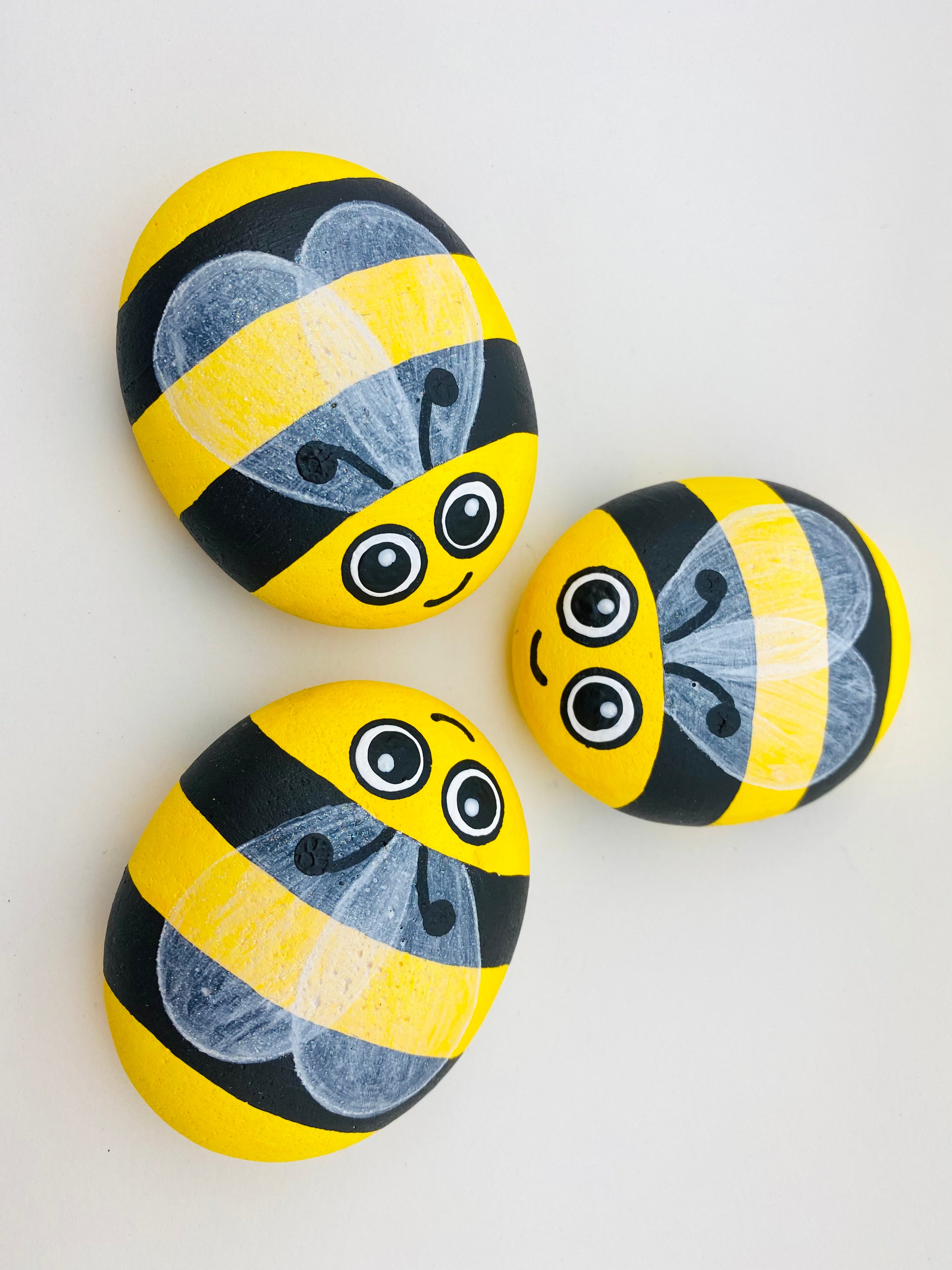 Personalised Painted Bee Pet Rock Stone – McFloof Makes