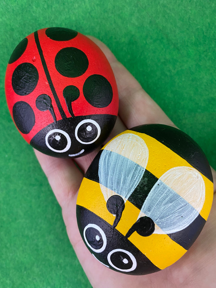 Personalised Painted Ladybug Pet Rock Stone – McFloof Makes